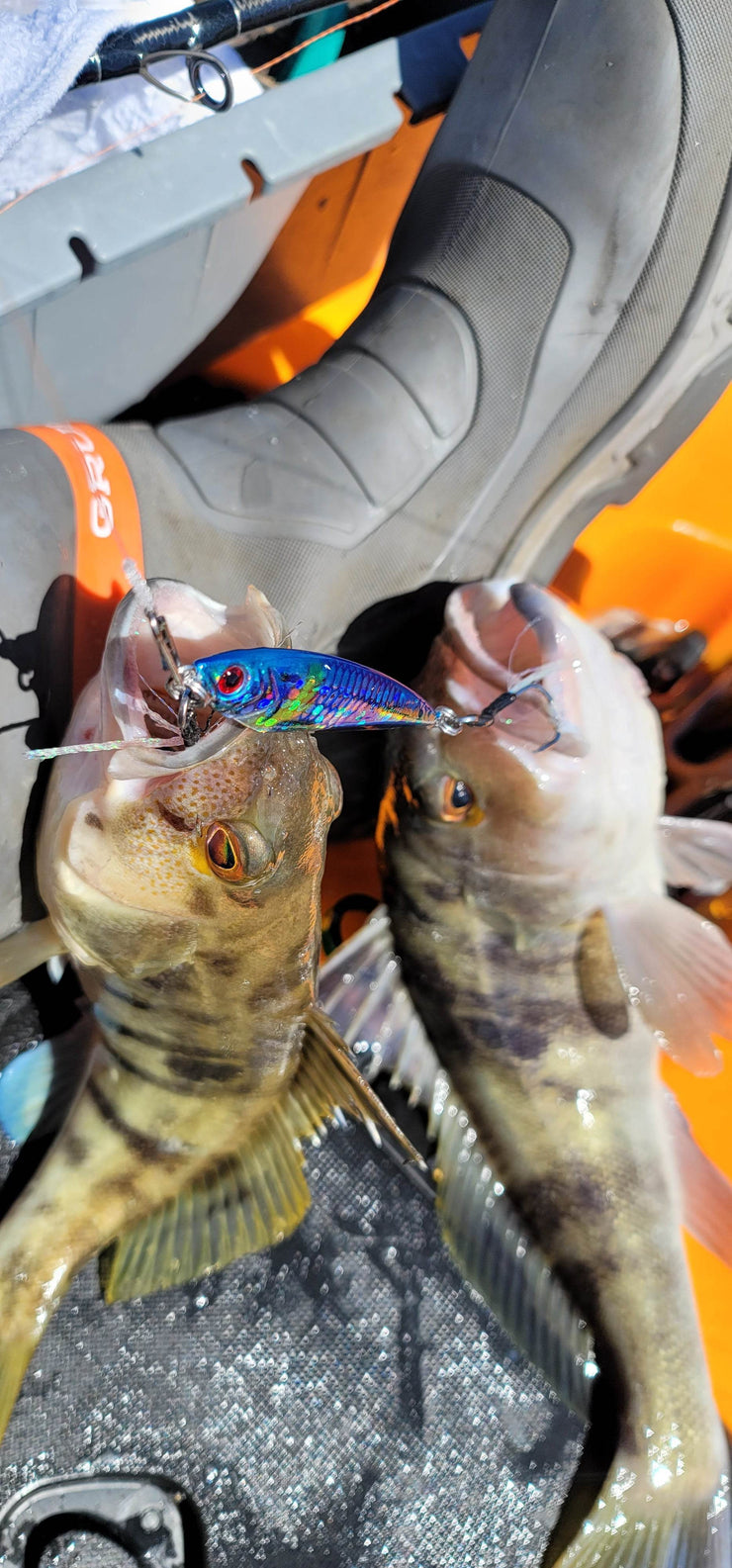 Submission Jigs - Mercenary - Lightweight Division – Submission Fishing Co.