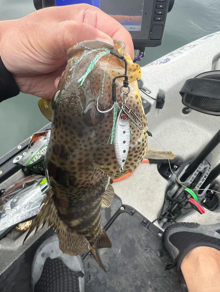 Lightweight Slow Pitch Jigs - 10g - 20g – Submission Fishing Co.