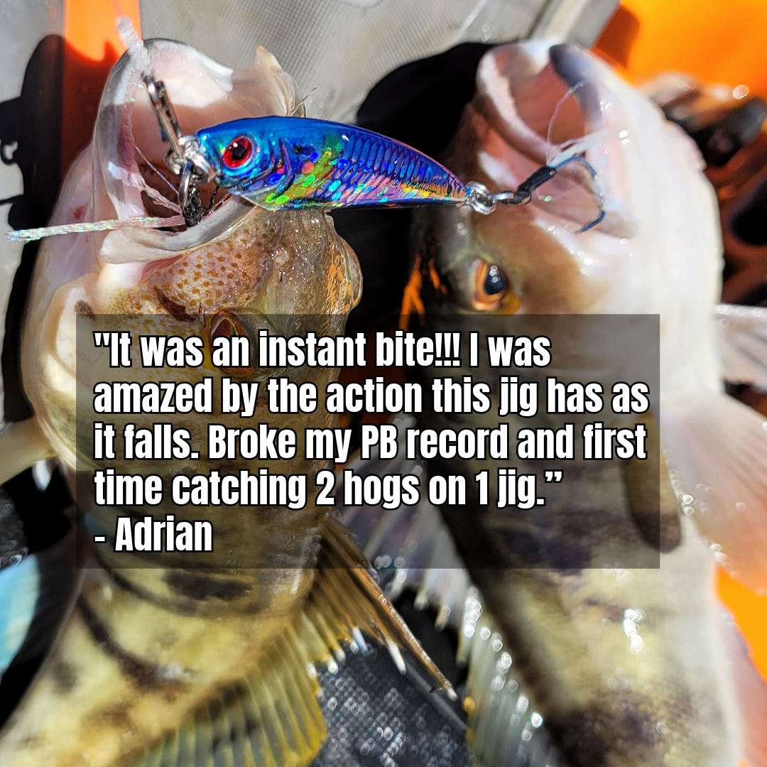 Lightweight Slow Pitch Jigs - 10g - 20g – Submission Fishing Co.
