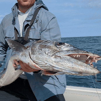 Middleweight Slow Pitch Jigs - 40g - 300g – Submission Fishing Co.