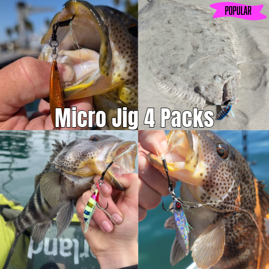 Submission Jigs - Micro Sumo and Mercenary - Lightweight Division - 4 ...