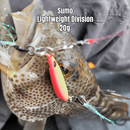 Submission Jigs - Sumo - Lightweight Division – Submission Fishing Co.